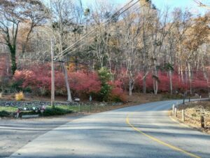 Photo & Video Galleries 3 - Raines & Powell Family